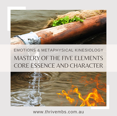 Five Elements Kinesiology (EMK) | Thrive Mbs